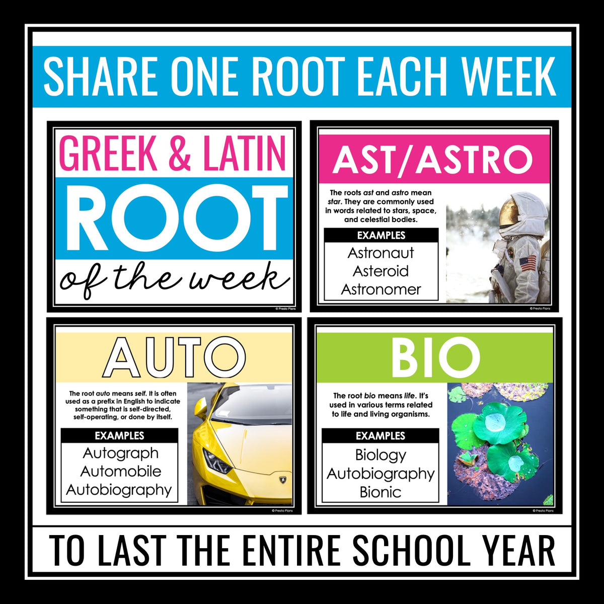 Greek and Latin Roots Vocabulary Posters and Assignment - Class Bullet ...