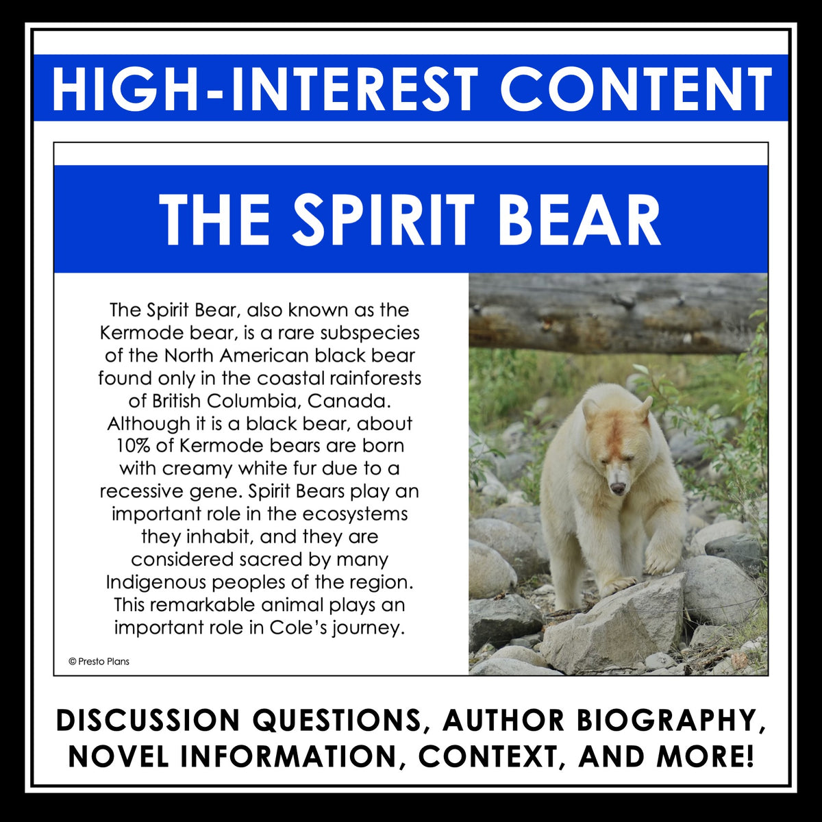 Touching Spirit Bear Introduction Presentation - Discussion, Author, C ...