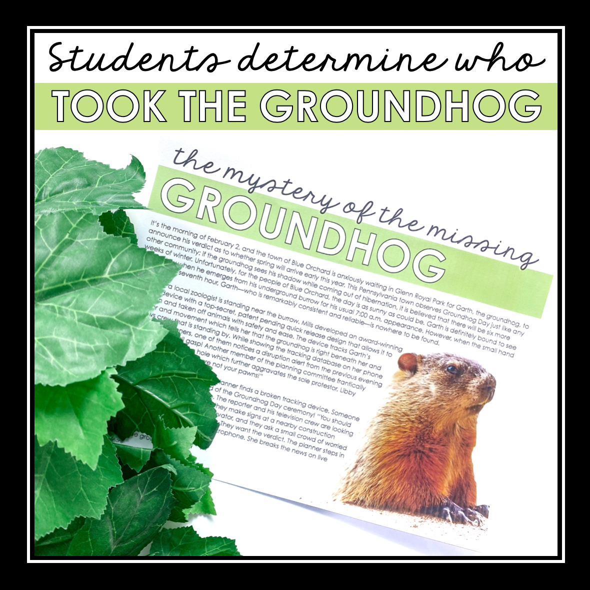 Groundhog Day Activity - Close Reading Inference Mystery - Missing Gro ...