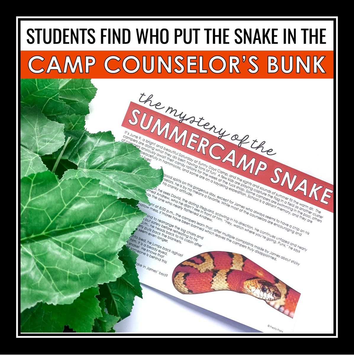Close Reading Mystery Text Evidence Inference Activity - Summer Camp S ...