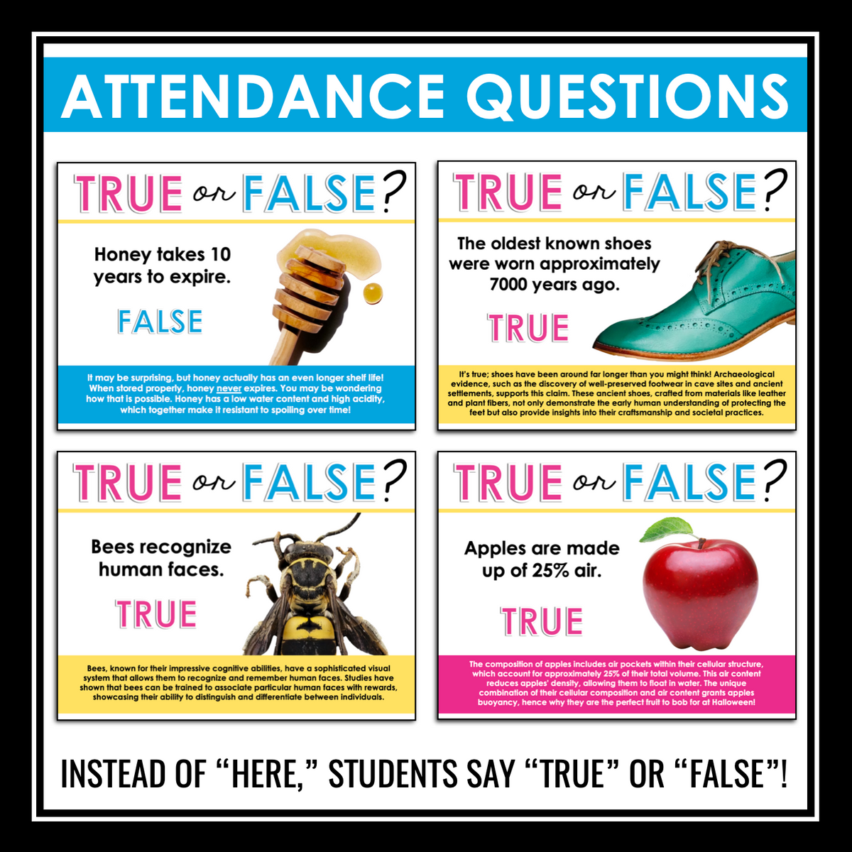 Attendance Questions or Daily Bell Ringers - True or False Questions ...